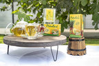 PINALAX caffeine-free detox tea