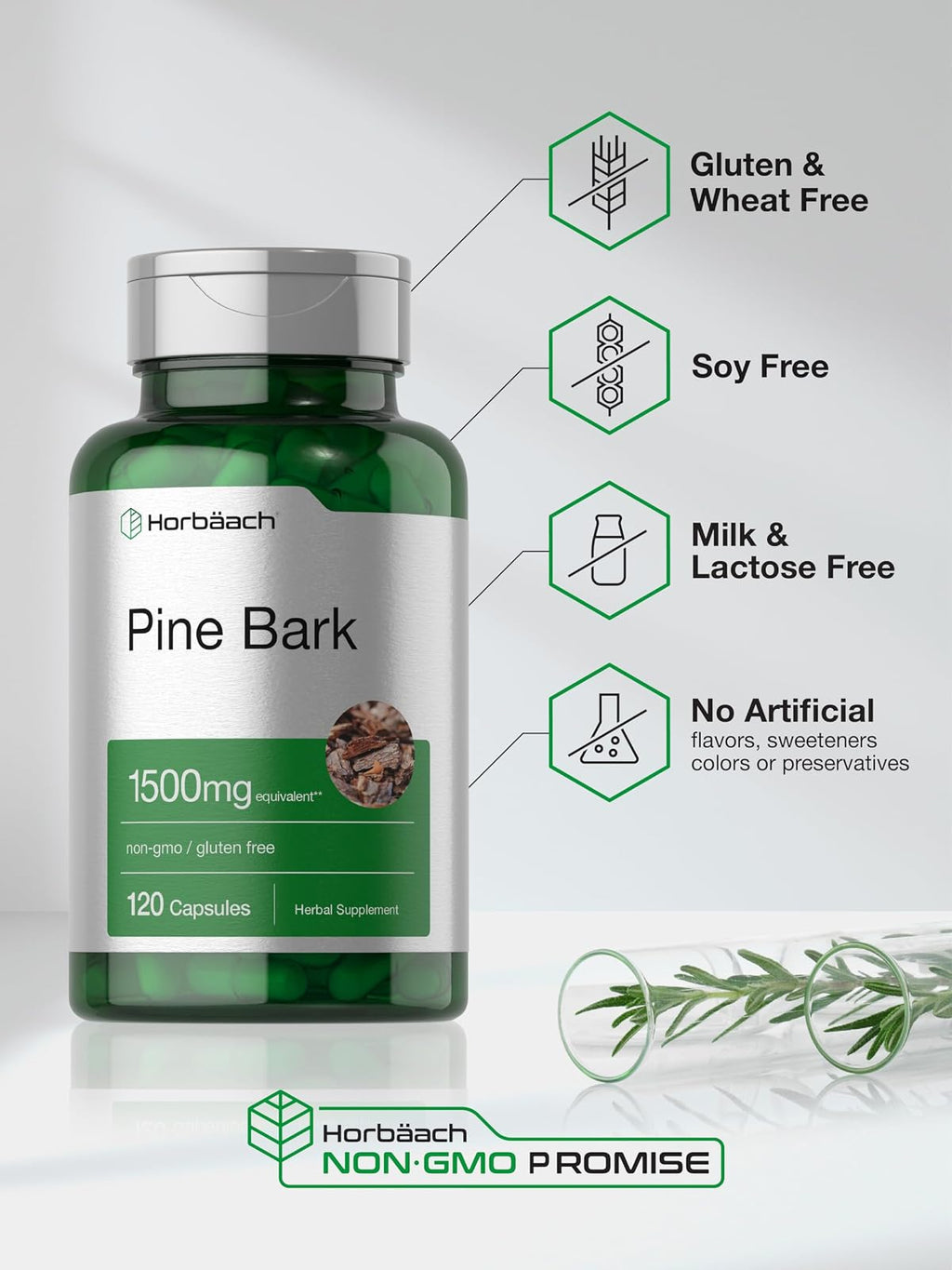Pine Bark Extract for circulation