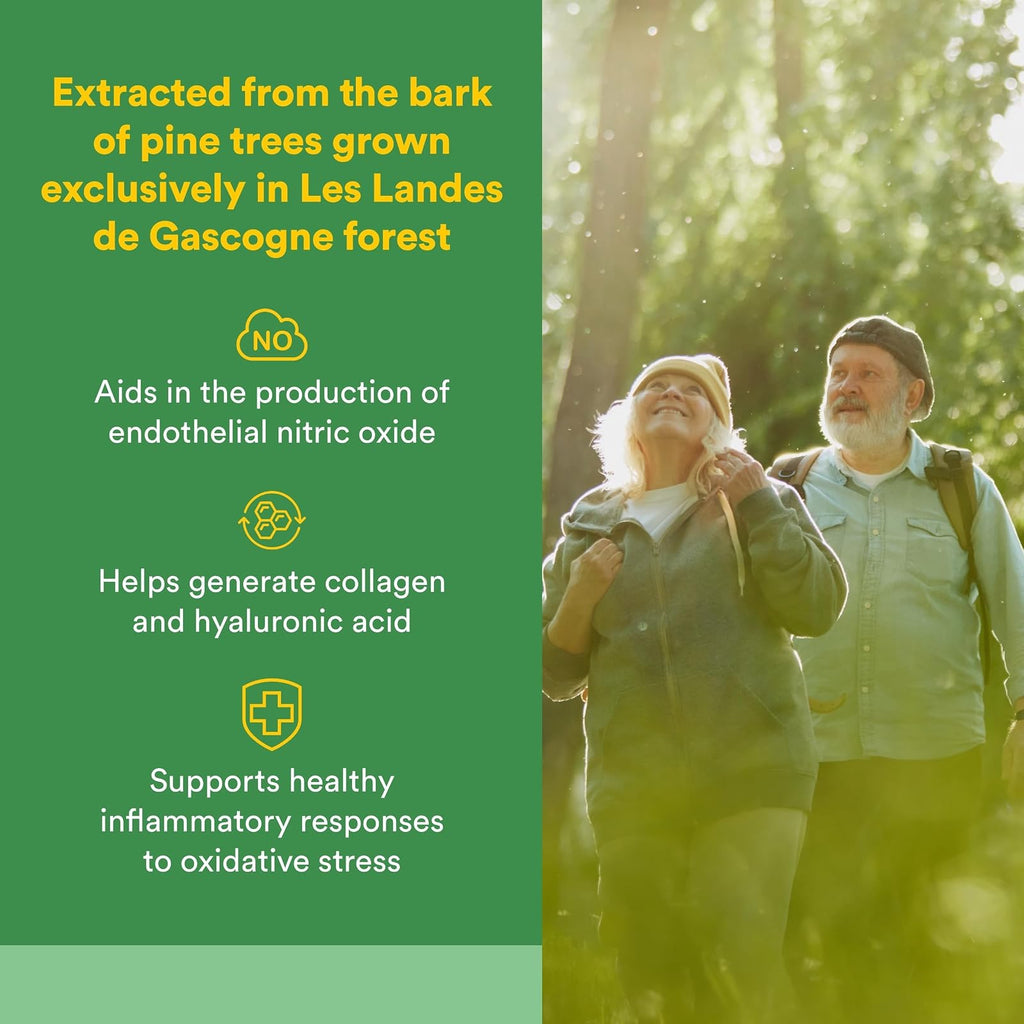 Pine bark extract for healthy circulation