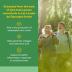 Pine bark extract for healthy circulation