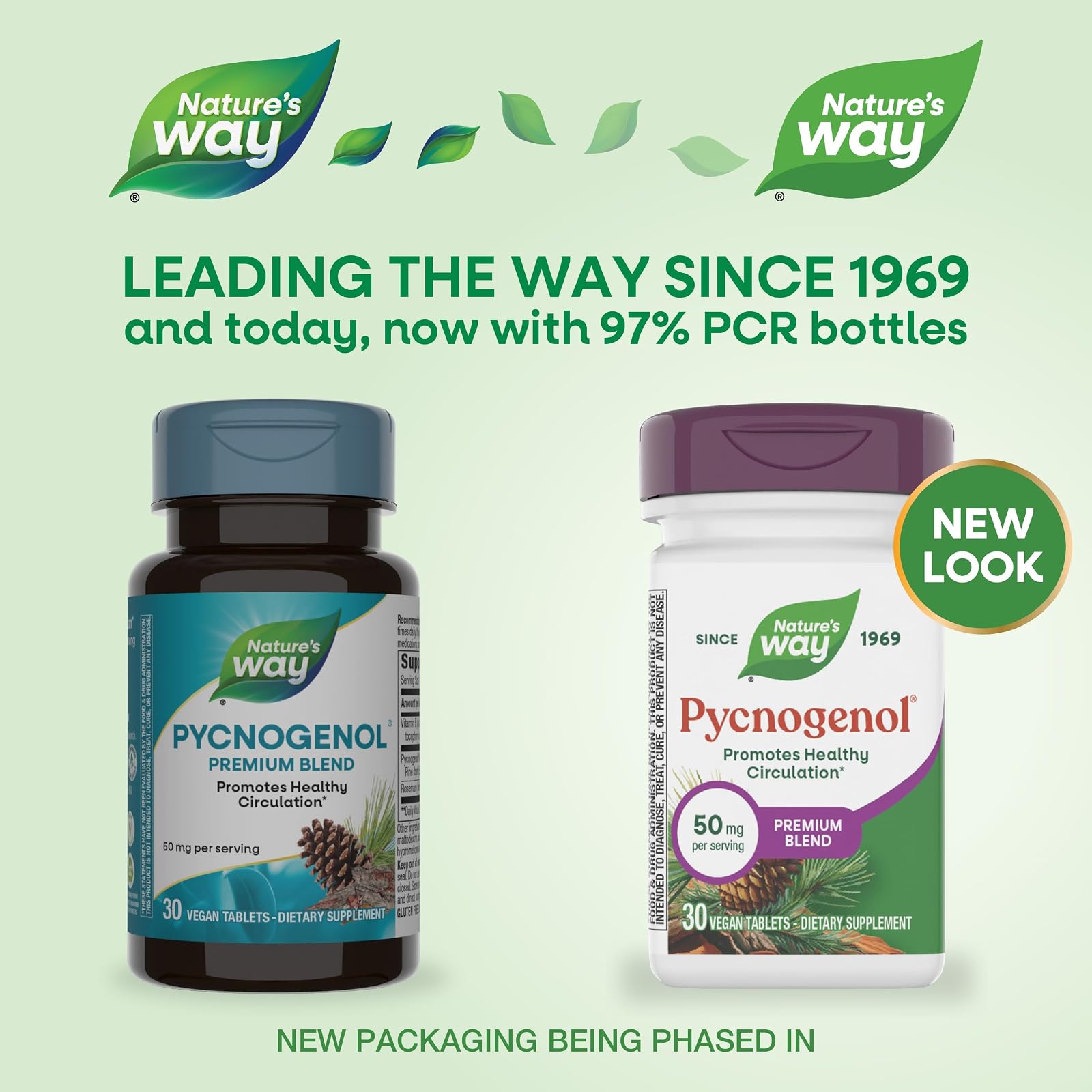 Pine bark extract for healthy circulation