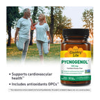 Pine bark extract for healthy circulation