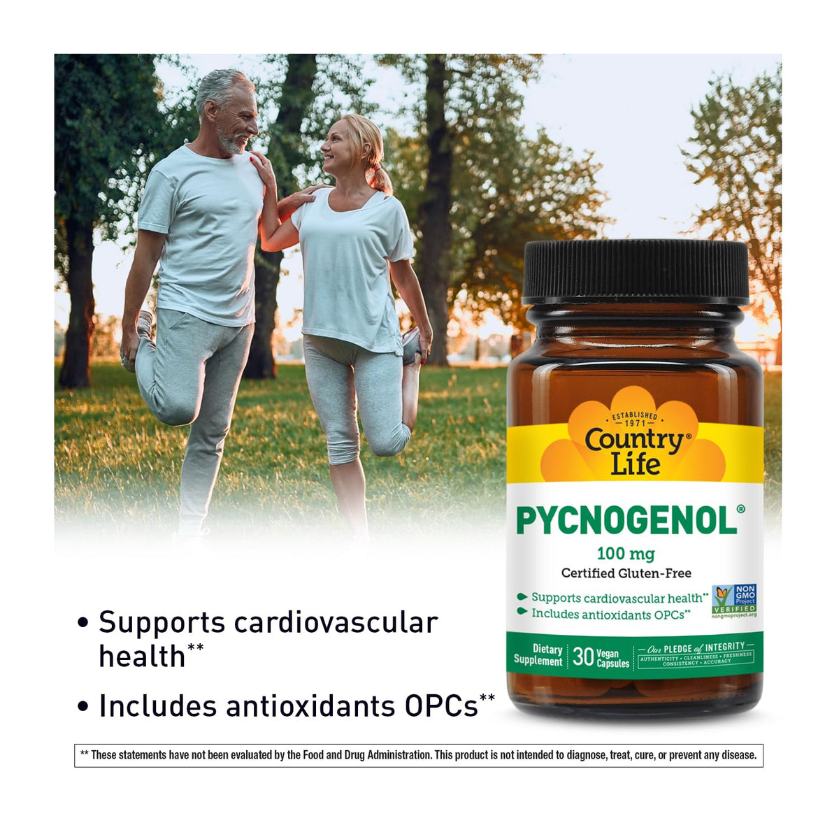 Pine bark extract for healthy circulation