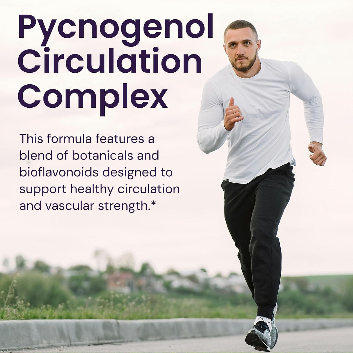 Pine bark extract for healthy circulation