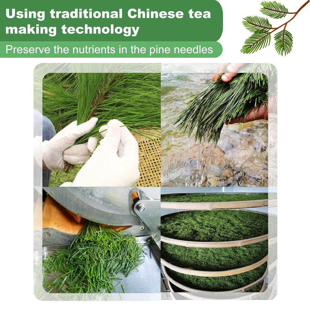 pine needle tea rich in antioxidants