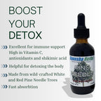 pine needle tincture for immune support