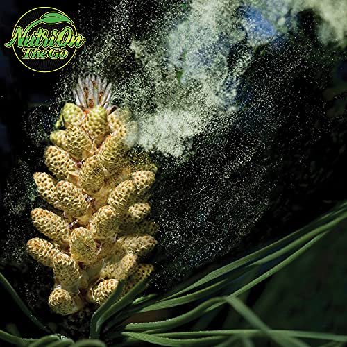 pine pollen powder for vitality