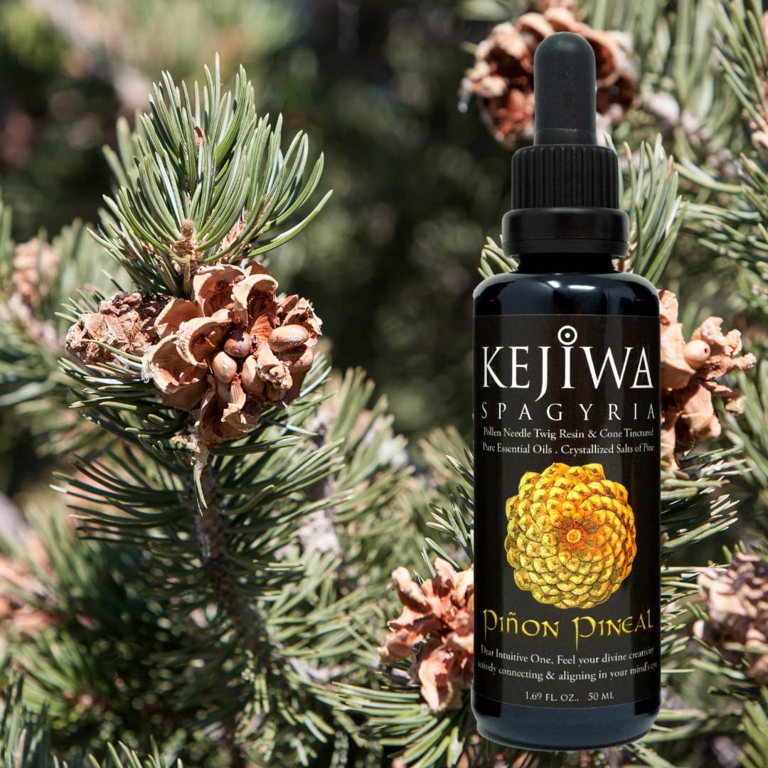 pineal gland support herbal solution