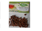 Pinguica bearberry fruit herbal tea