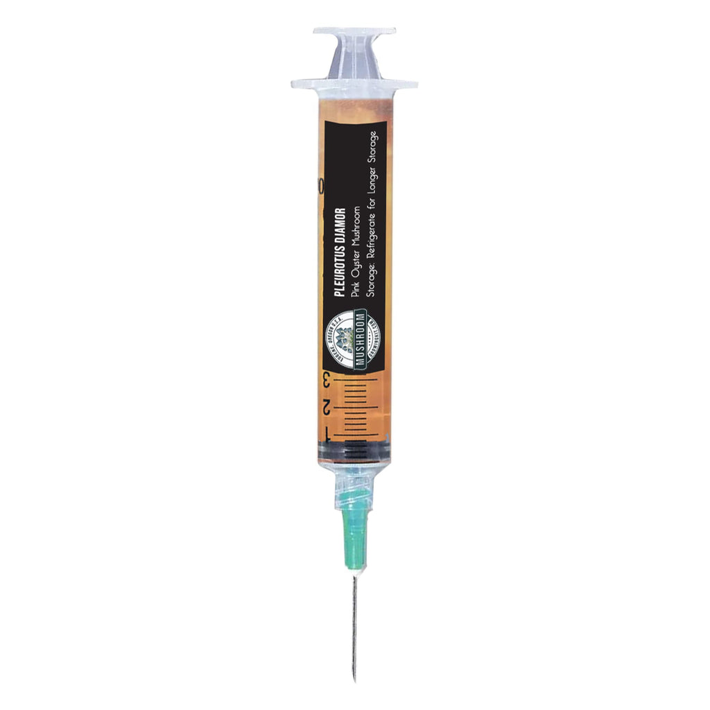 Pink oyster mushroom liquid culture syringe