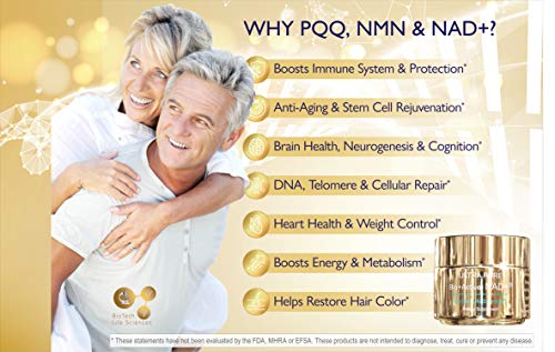 Piperine for improved nutrient absorption