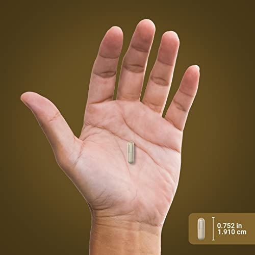 Piping Rock 100 mg Pygeum capsules
