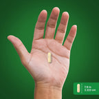 Piping Rock herbal wellness formula