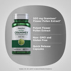 Piping Rock immune support vitamins
