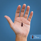 Piping Rock krill oil for overall wellness