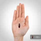 Piping Rock lecithin for healthy digestion