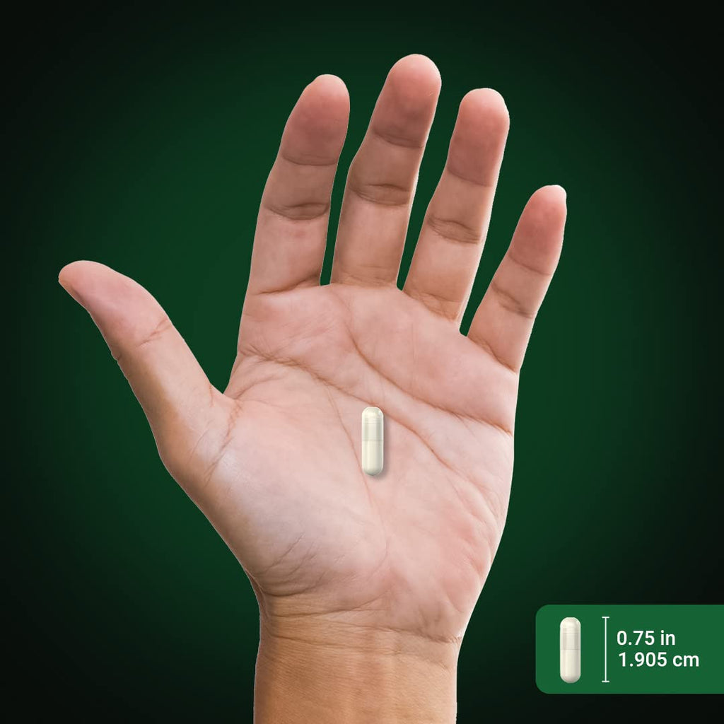 Piping Rock milk thistle dosage