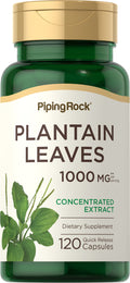 Piping Rock plantain leaf capsules benefits