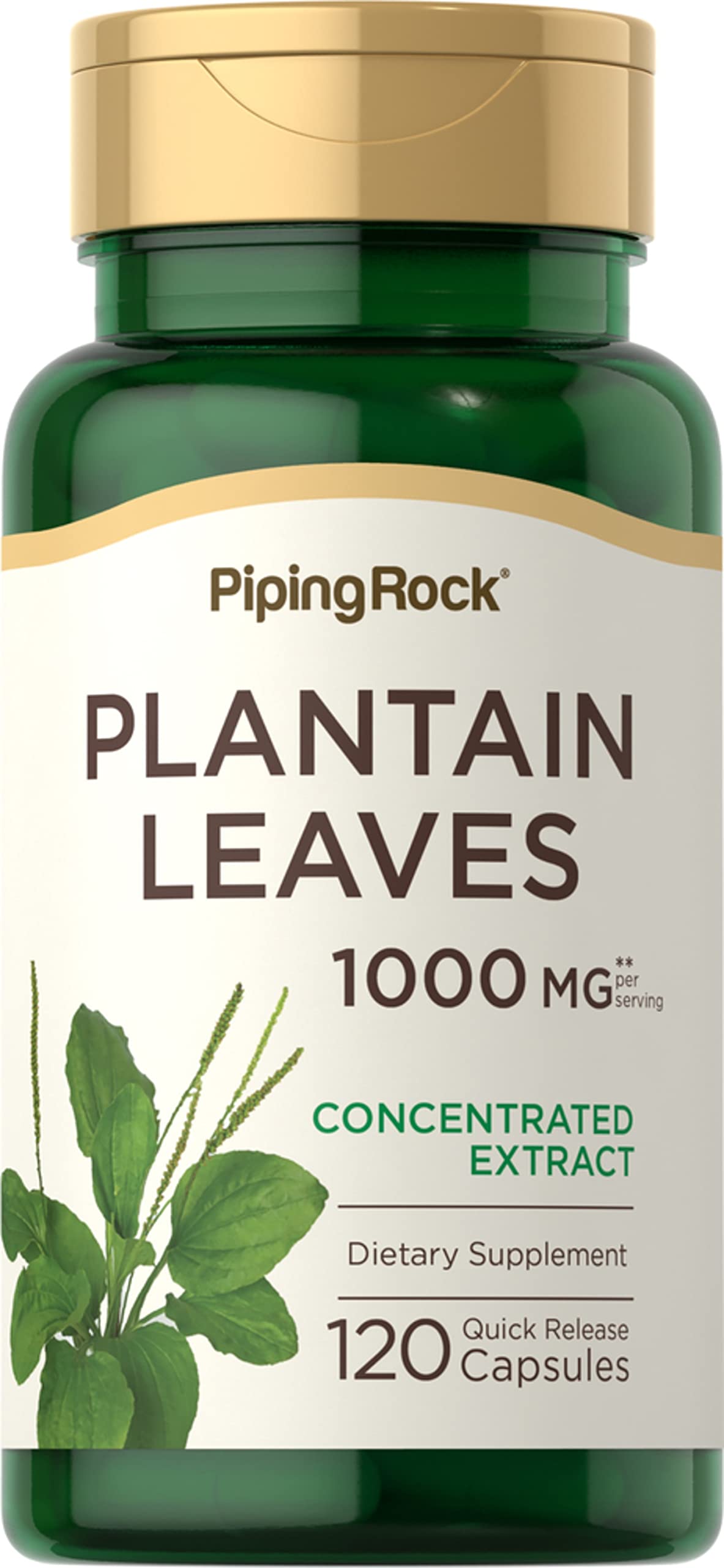 Piping Rock plantain leaf capsules benefits