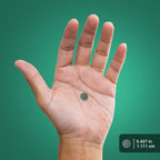 Piping Rock spirulina for athletes