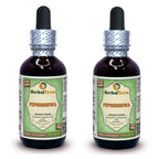 Pipsissewa glycerite for immune support
