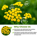 Pishma Herbal organic tansy flowers
