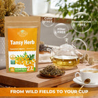 Pishma Herbal tansy flowers benefits