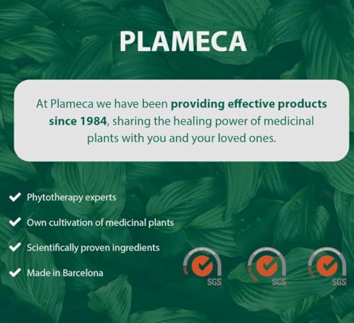 Plameca Venalight for active lifestyles