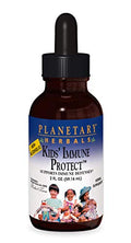 Planetary Herbals Immune Protect liquid supplement