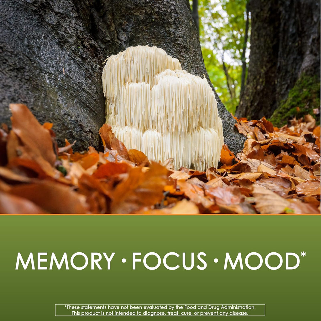 Planetary Herbals Lion's Mane benefits