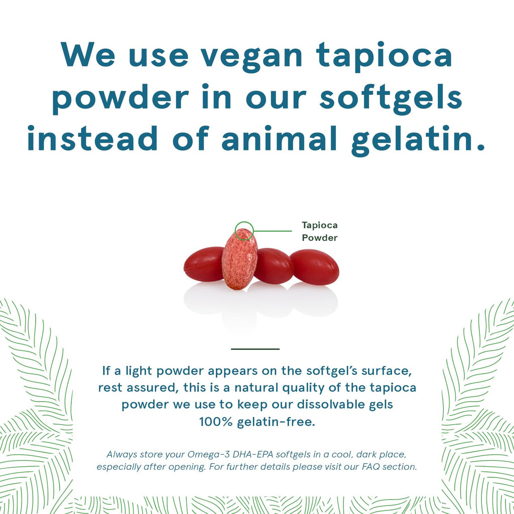 plant-based algae omega 3 source