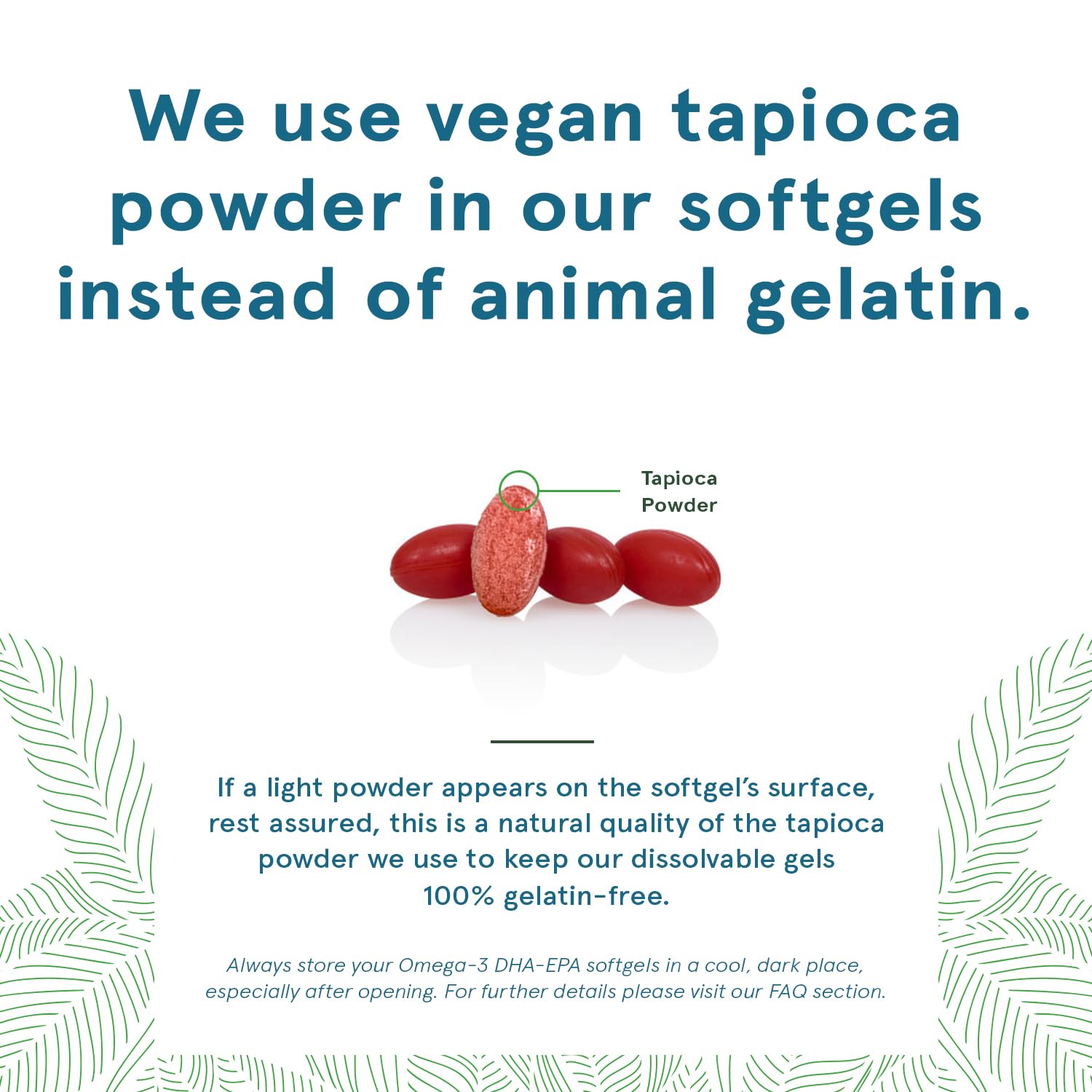 plant-based algae omega 3 source
