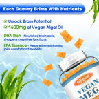 plant-based algae omega 3 supplements