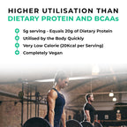 plant-based amino acids for energy