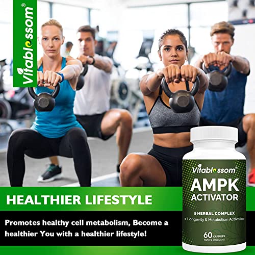 Plant-based AMPK activator formula