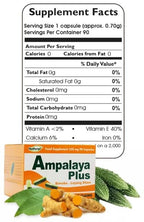 plant-based anti-inflammatory formula