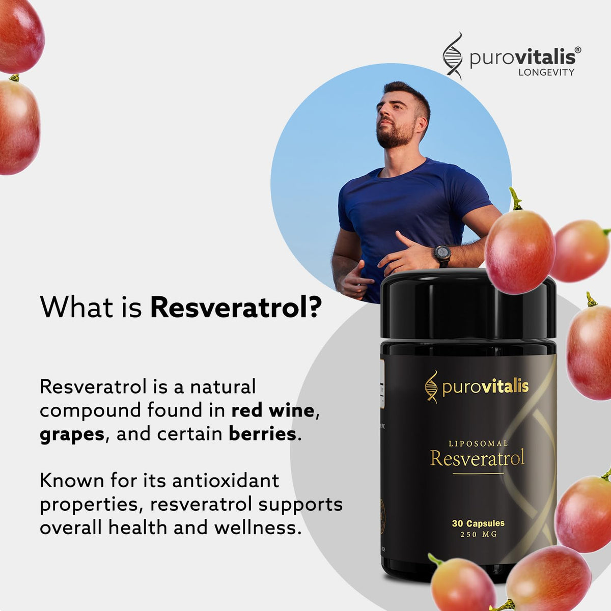 Plant-based antioxidant for vitality
