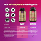 Plant-based antioxidants for wellness