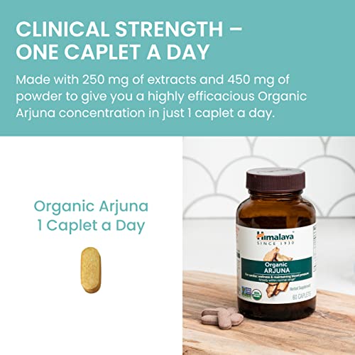 plant-based Arjuna for daily energy
