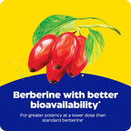 plant-based berberine for balanced health