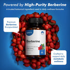 Plant-based Berberine for digestive health