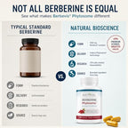 plant-based berberine for digestive support