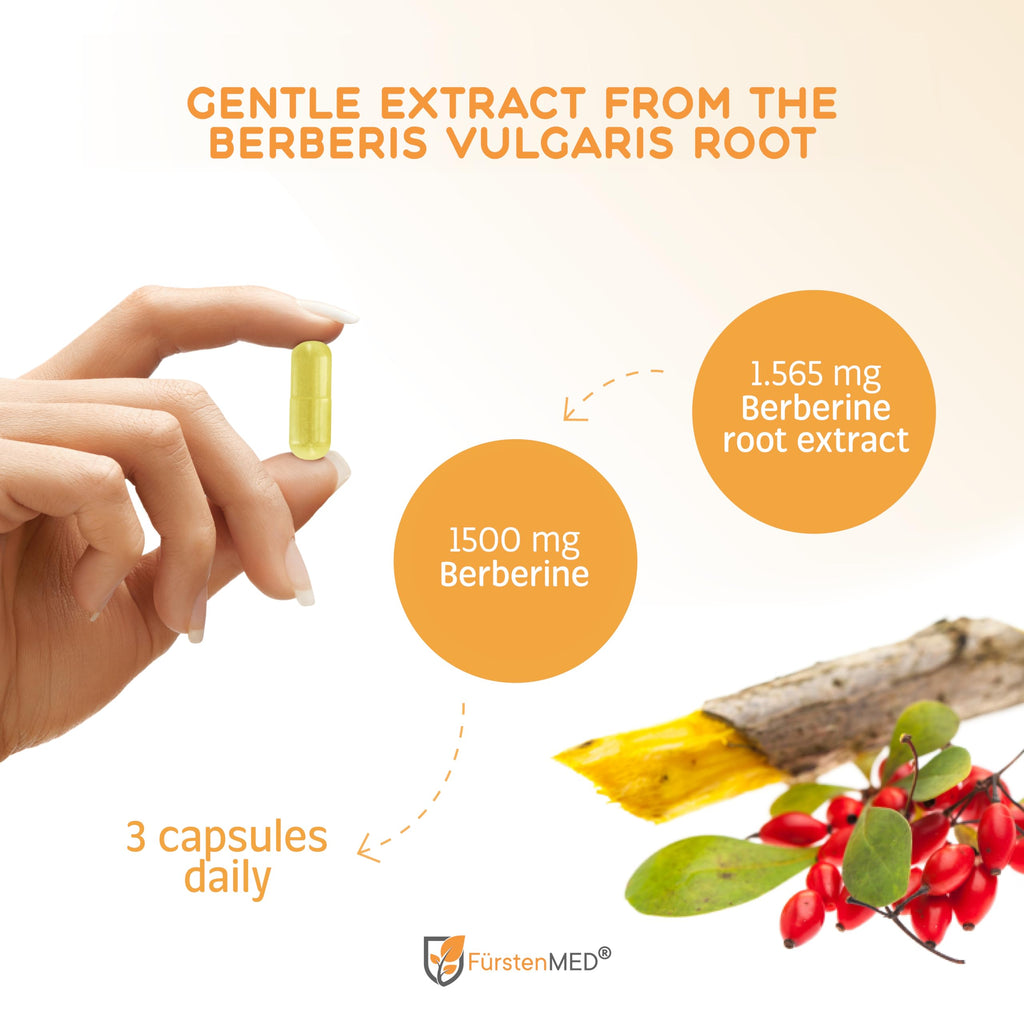plant-based berberine for everyday use