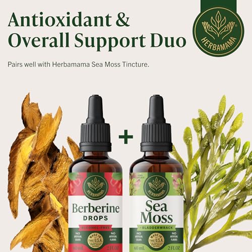 plant-based berberine for overall vitality