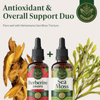 plant-based berberine for overall vitality