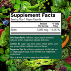 plant-based biotin for energy support