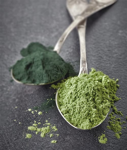plant-based blended vitamin & mineral supplements