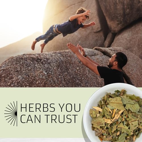 plant-based blended vitamin & mineral supplements
