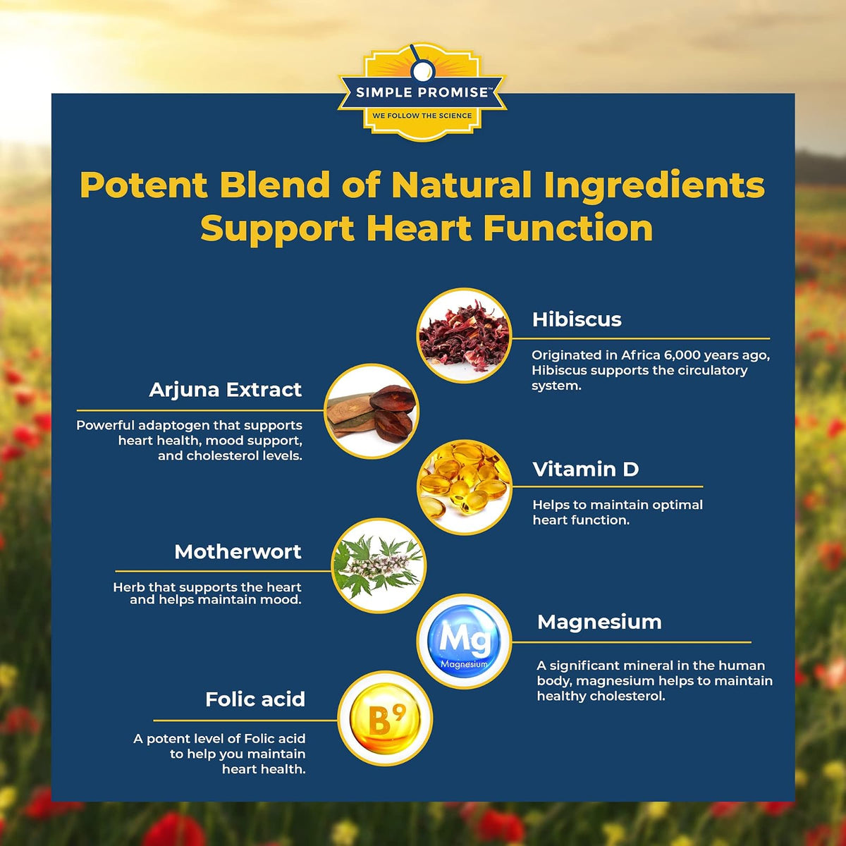 plant-based blood pressure management