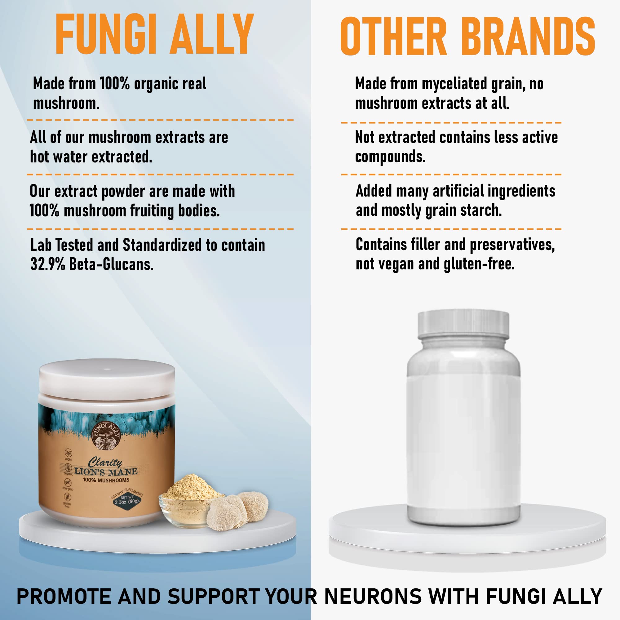 plant-based brain health mushrooms